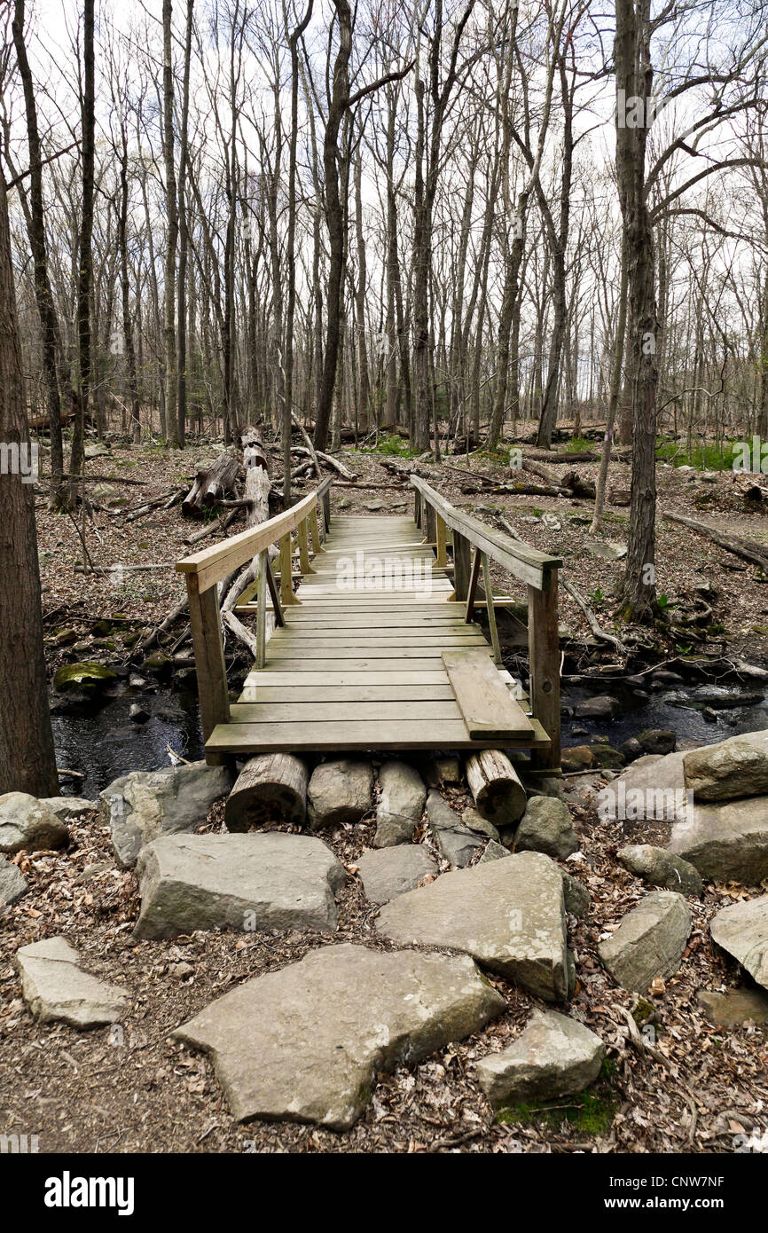 A rustic wooden bridge in woodland Stock Photo - Alamy