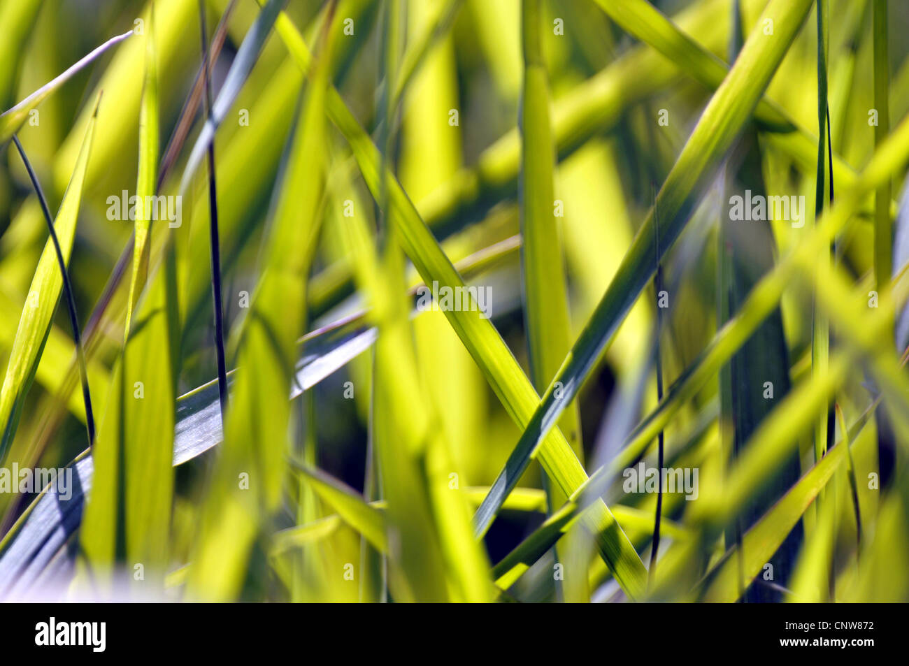 Light beam photos hi-res stock photography and images - Alamy