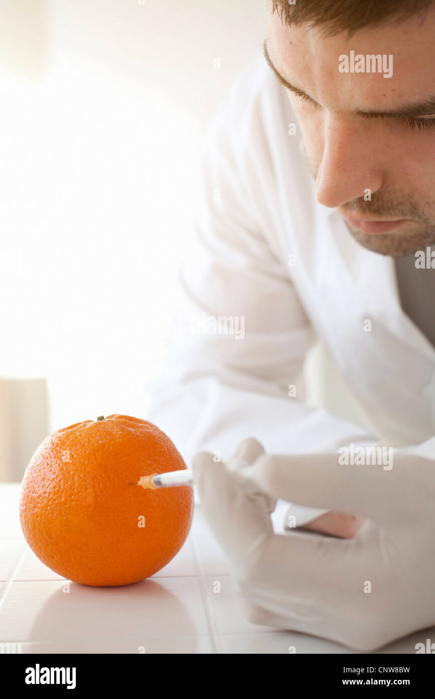 Scientist injecting liquid into orange Stock Photo - Alamy