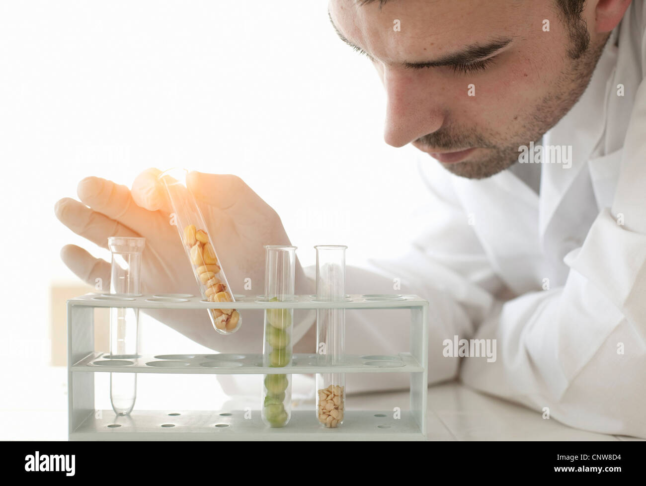 Seed specimen hi-res stock photography and images - Alamy