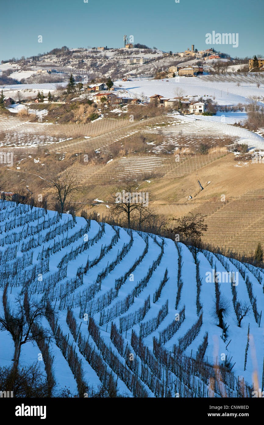 Vine covered hillside hi-res stock photography and images - Alamy