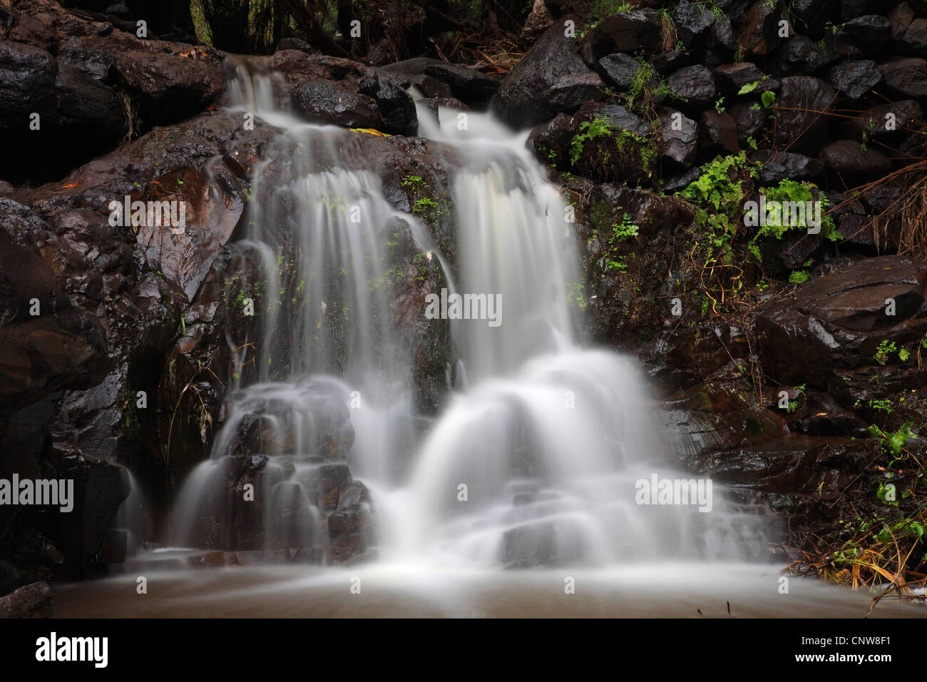 waterfall in the Barranco de Arure, Canary Islands, Gomera Stock Photo ...