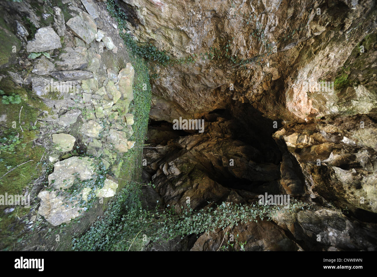 Biotope of the french cave hi-res stock photography and images - Alamy