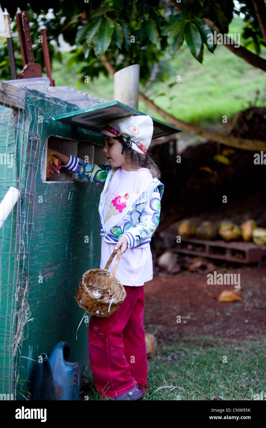girl collecting eggs in a basket from hens Stock Photo - Alamy