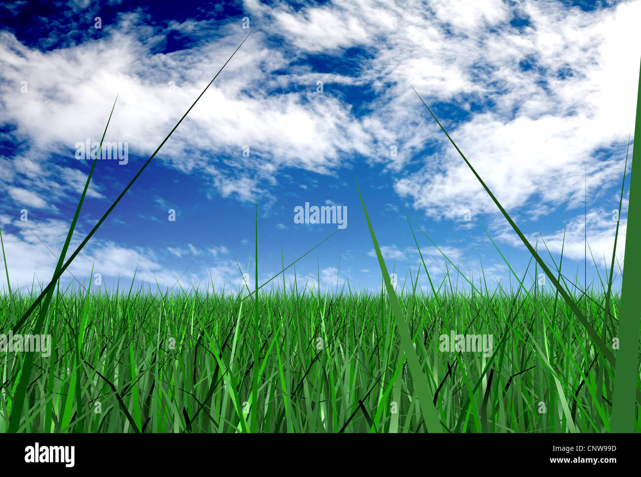 Sky slightly clouded or fair hi-res stock photography and images - Alamy