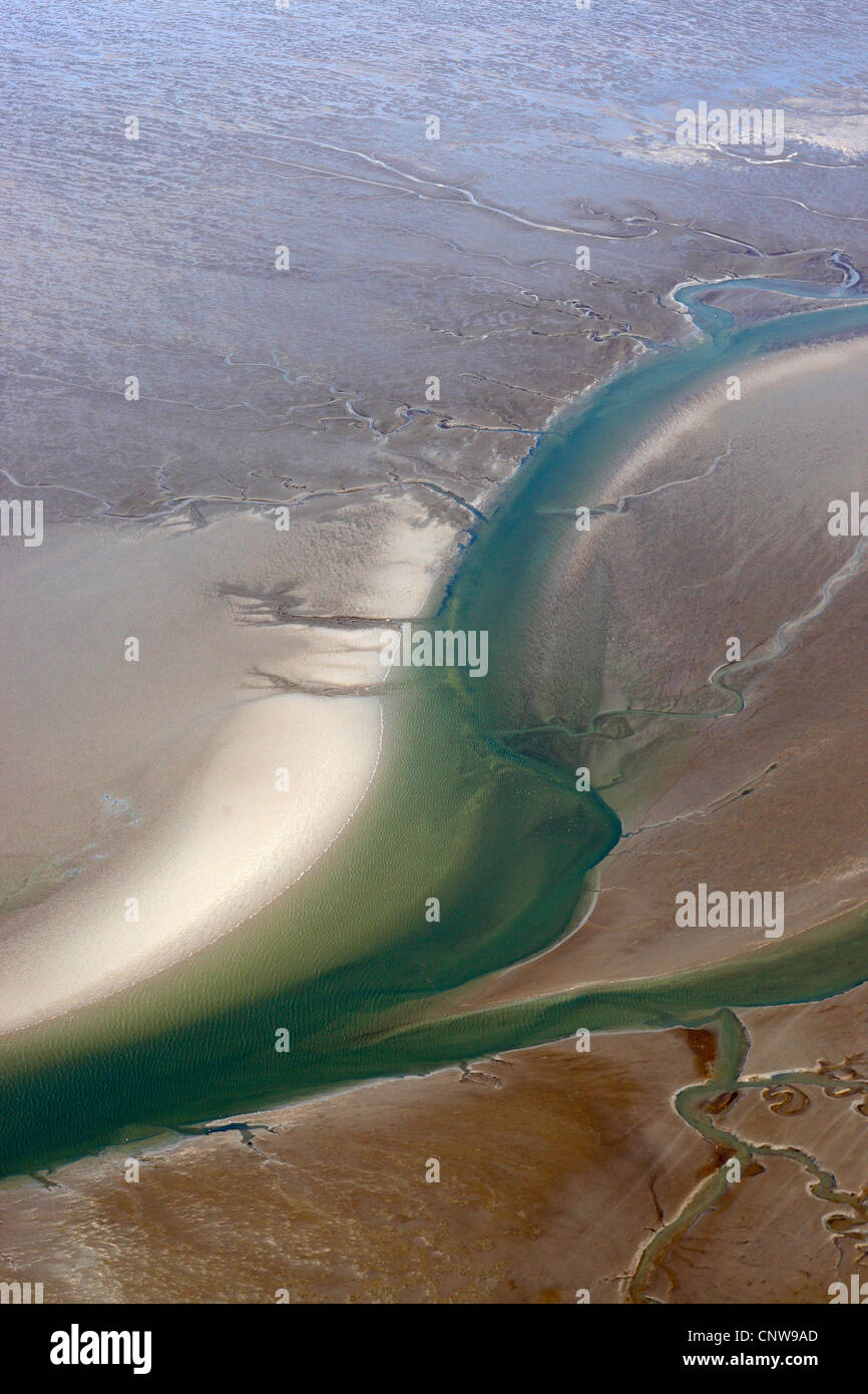 Tidal flat ecosystem hi-res stock photography and images - Alamy