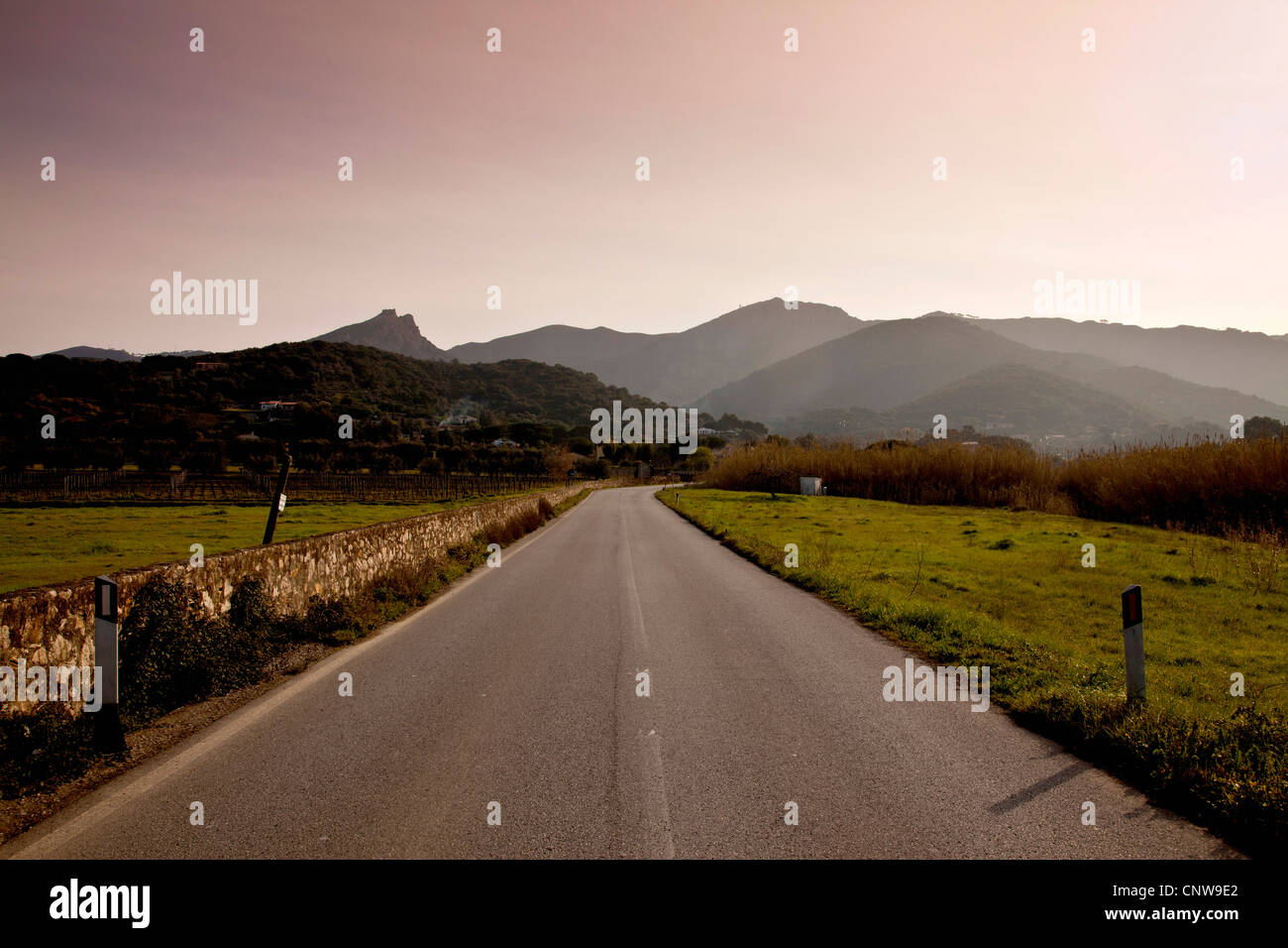 Road in hilly rural landscape Stock Photo - Alamy