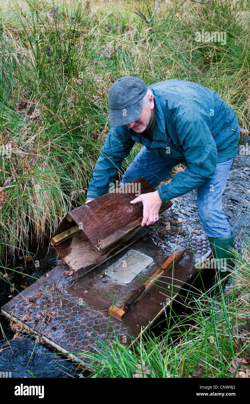 Mink raft hi-res stock photography and images - Alamy