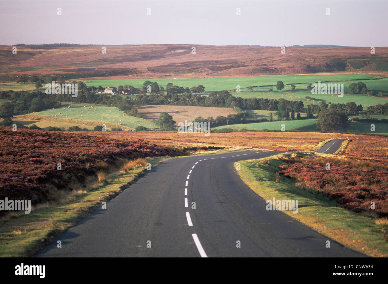 England, Yorkshire, Typical View in the North Yorkshire Moors National ...