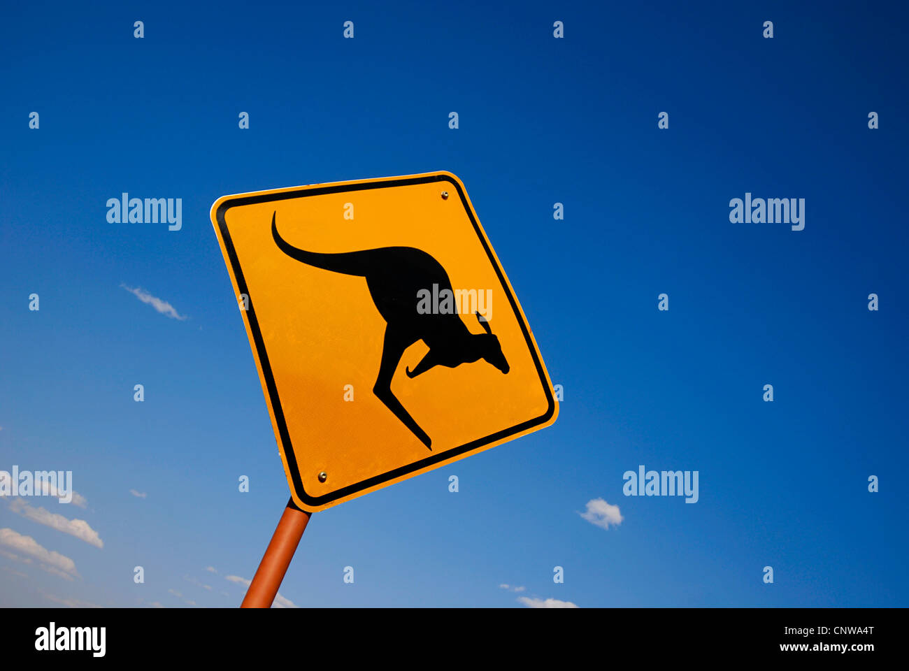 Kangaroo road signs hi-res stock photography and images - Alamy