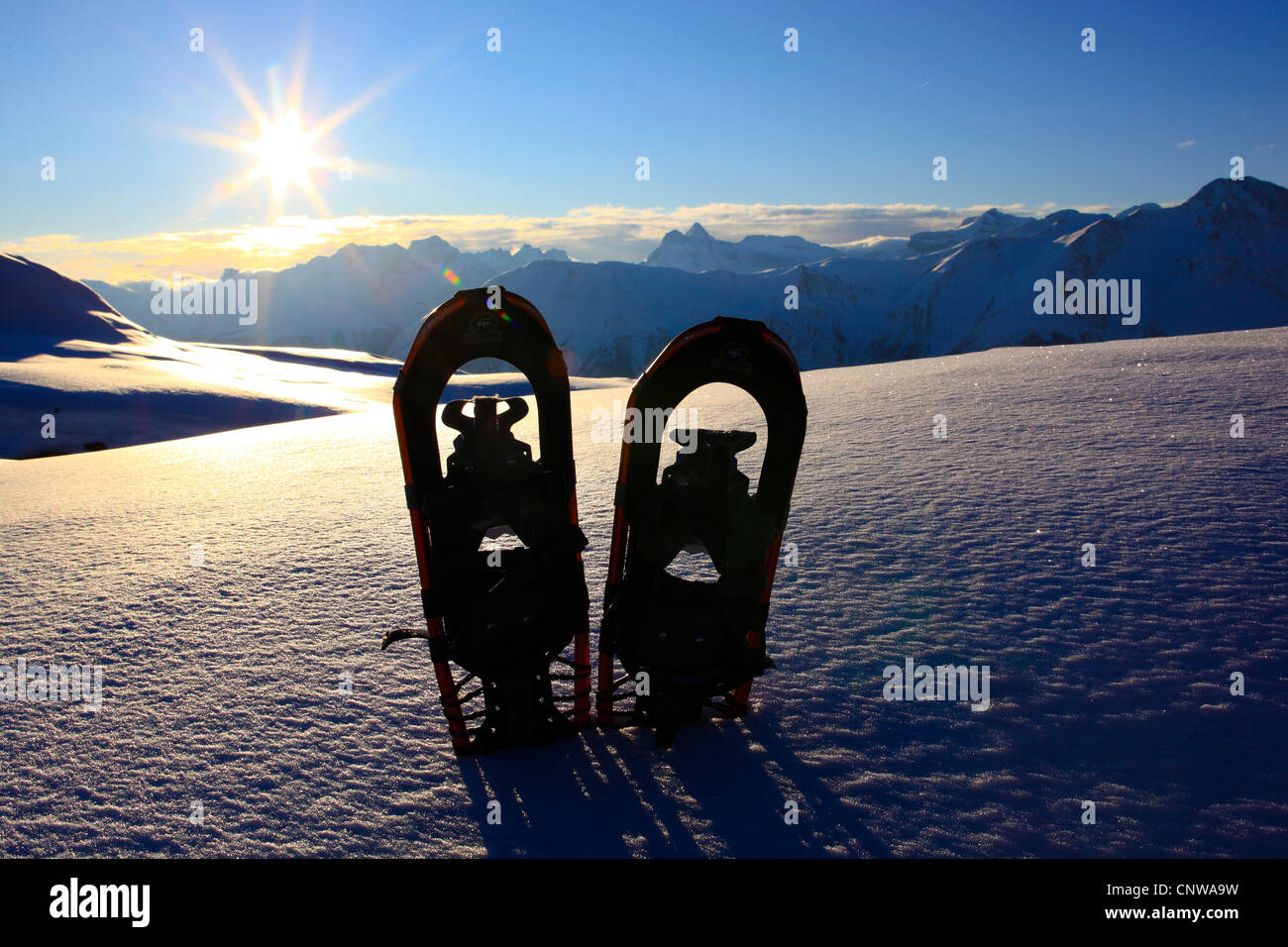 pair of snow shoes stuck into an untouched snow field at sunset in ...