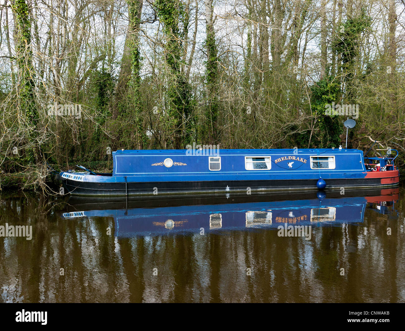 Blue Canal long boat moored on the River Thames near Henley on Thames ...