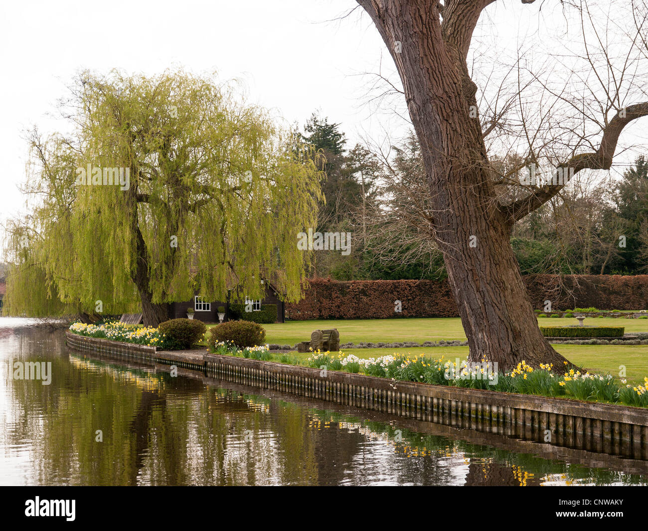 Picturesque waterside garden with spring flowers and weeping willow ...