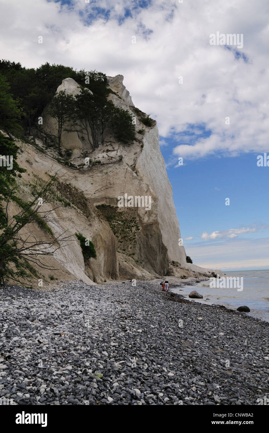 Moens klint hi-res stock photography and images - Alamy
