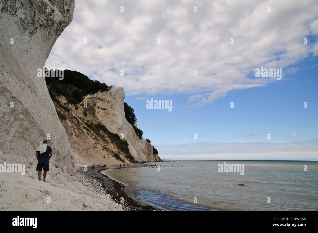 Moens Klint chalk cliffs, Denmark, Moen, Moens Klint Stock Photo - Alamy
