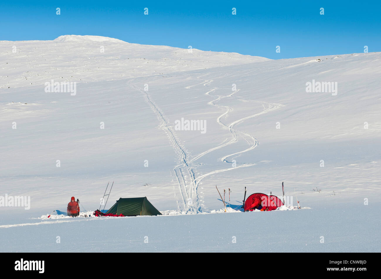 Tent Camp In Snow Sweden Lapland Norrbotten Sarek National Park