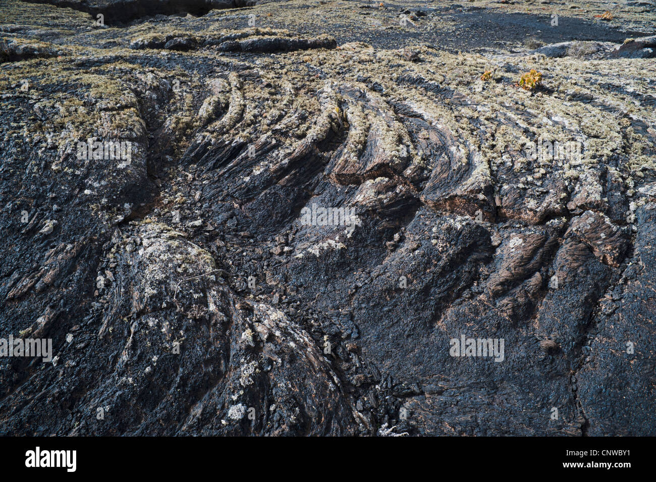 Vesicular lava hi-res stock photography and images - Alamy