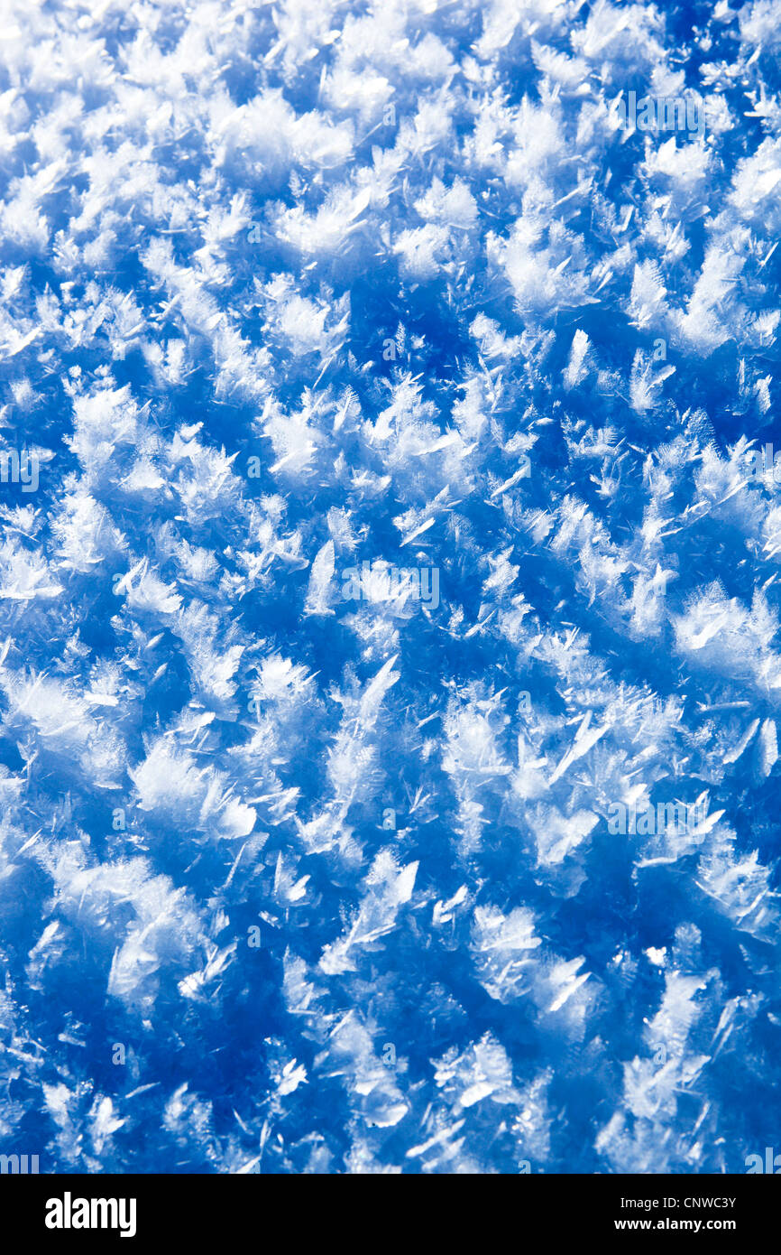 Fragile ice beauty hi-res stock photography and images - Alamy