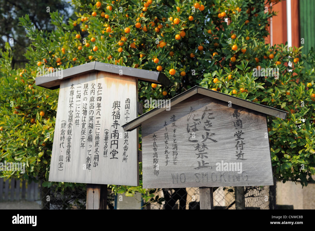 wooden "No Smoking" signs in front of orange tree at Kofukuji temple in ...
