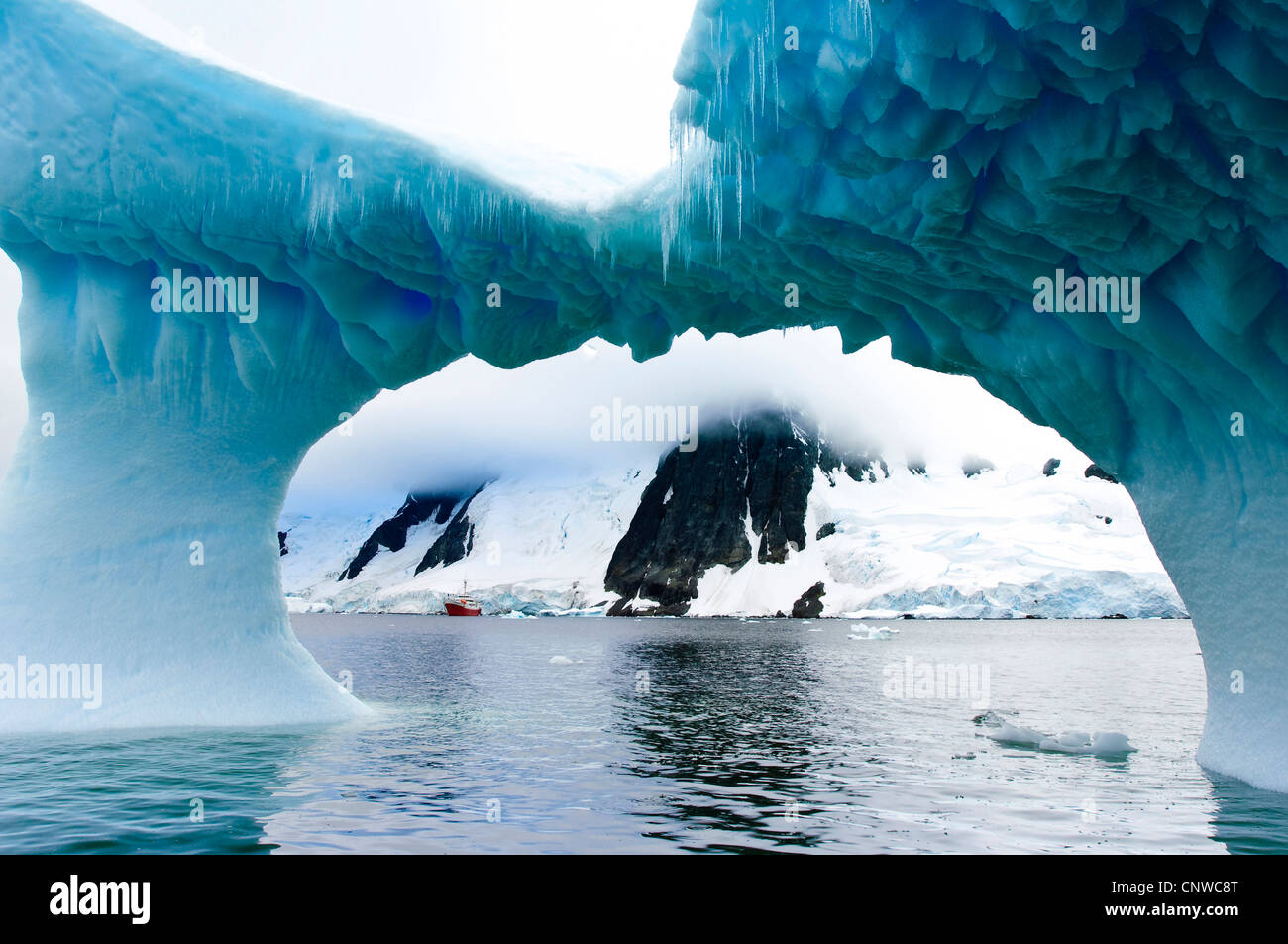 weirdly shaped iceberg, Antarctica, Pleneau Island Stock Photo - Alamy
