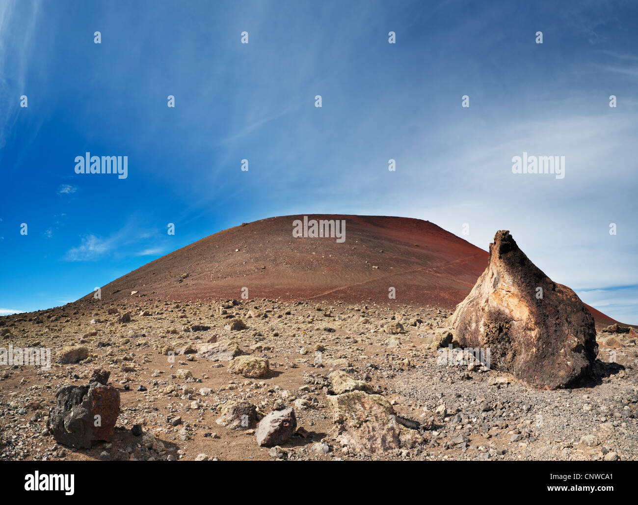 Large basaltic volcanic bombs from an explosive eruption of Montaña ...