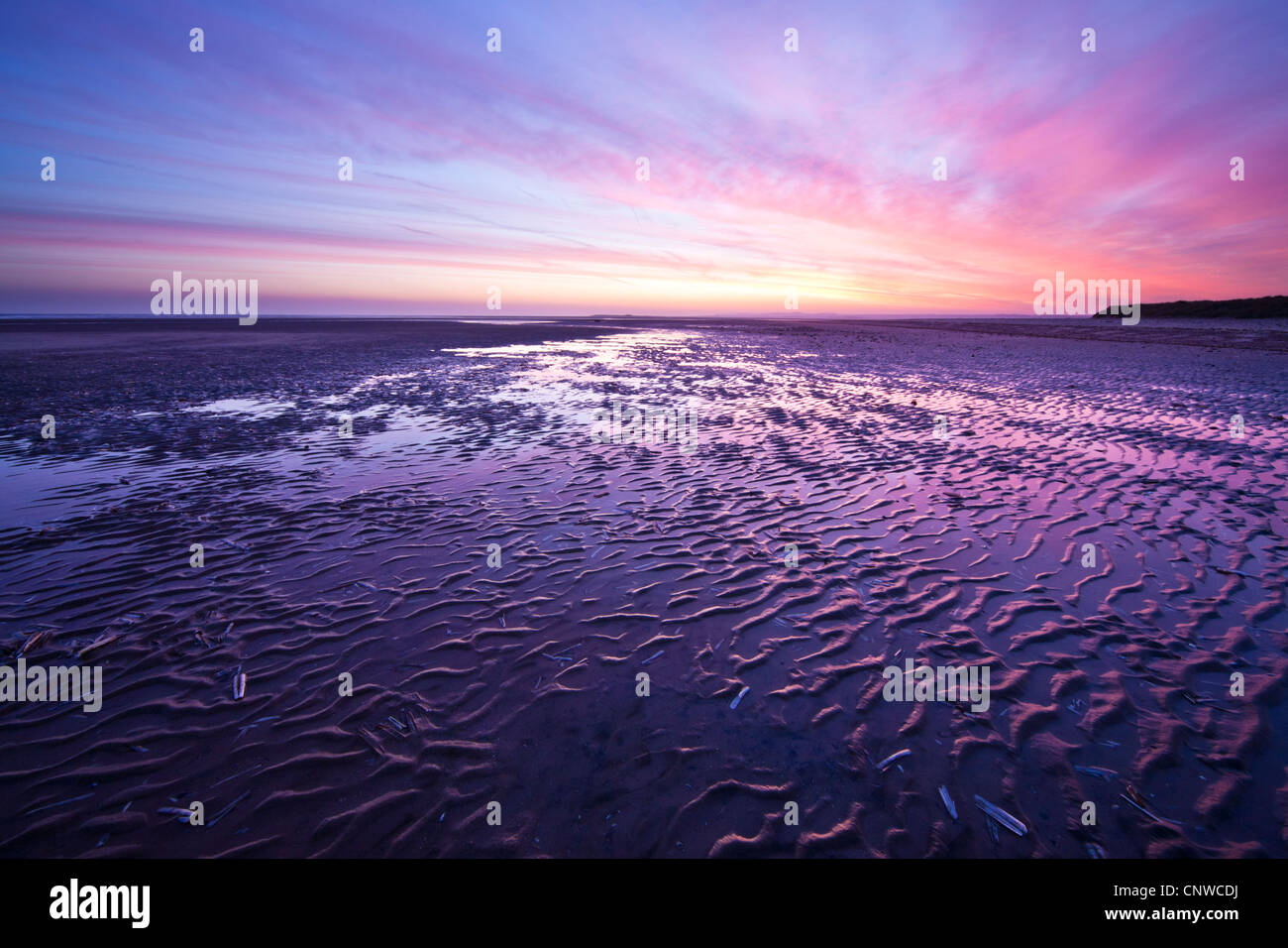 Early morning sunrise creates a vivid pink sky reflected in water pools ...