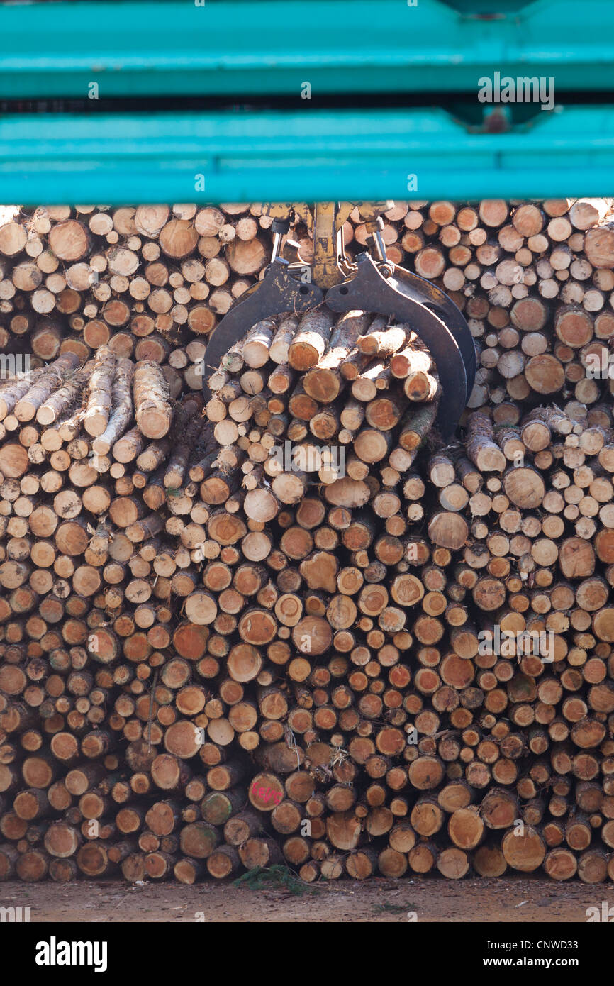 Cargo vessel loading timber hi-res stock photography and images - Alamy