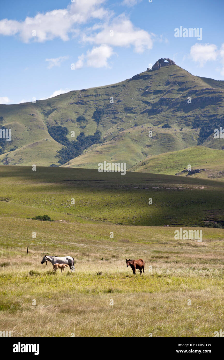 Gatberg (Hole Mountain), Ugie, Eastern Cape, South Africa Stock Photo ...