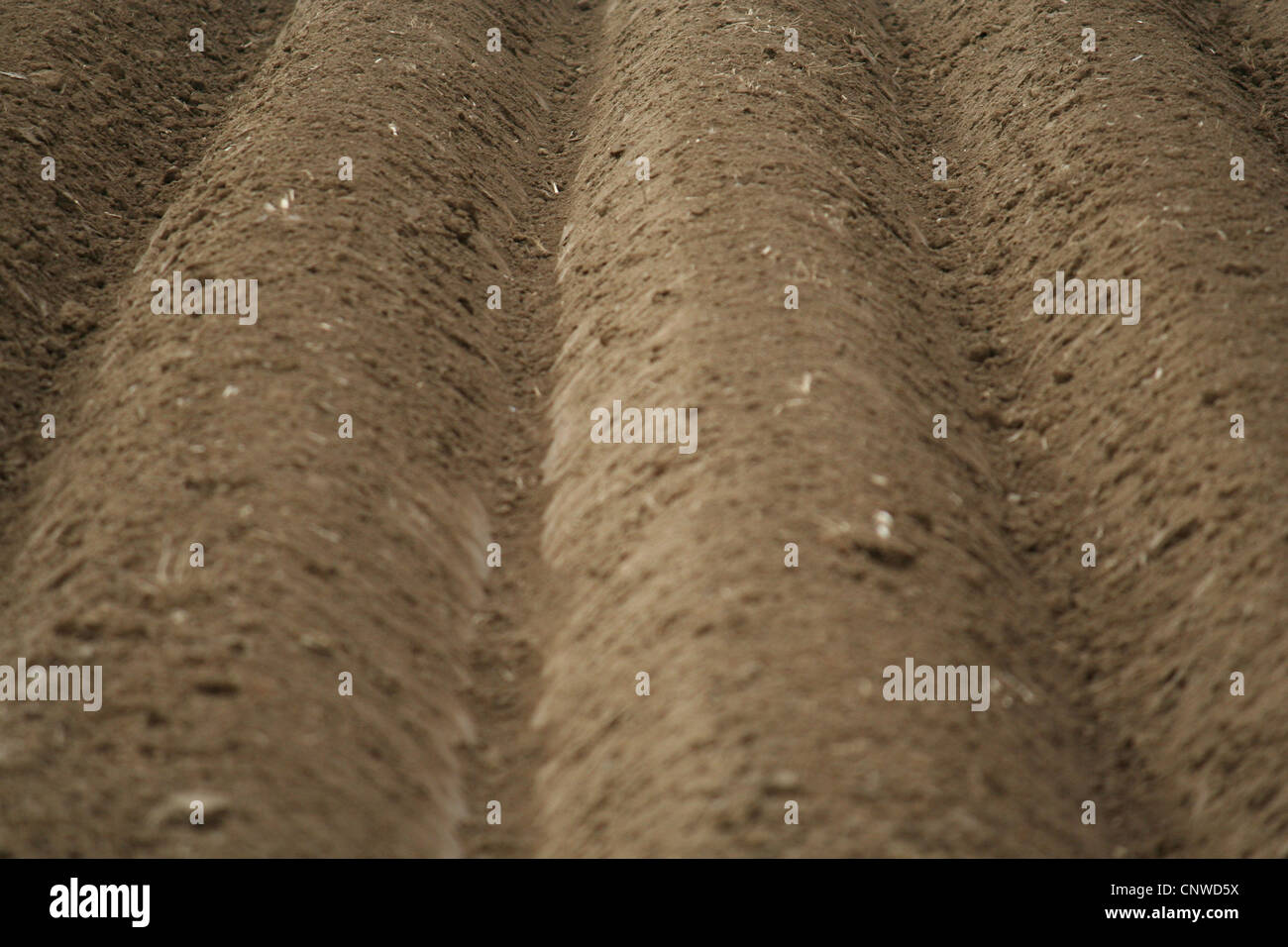 Furrowed earth hi-res stock photography and images - Alamy