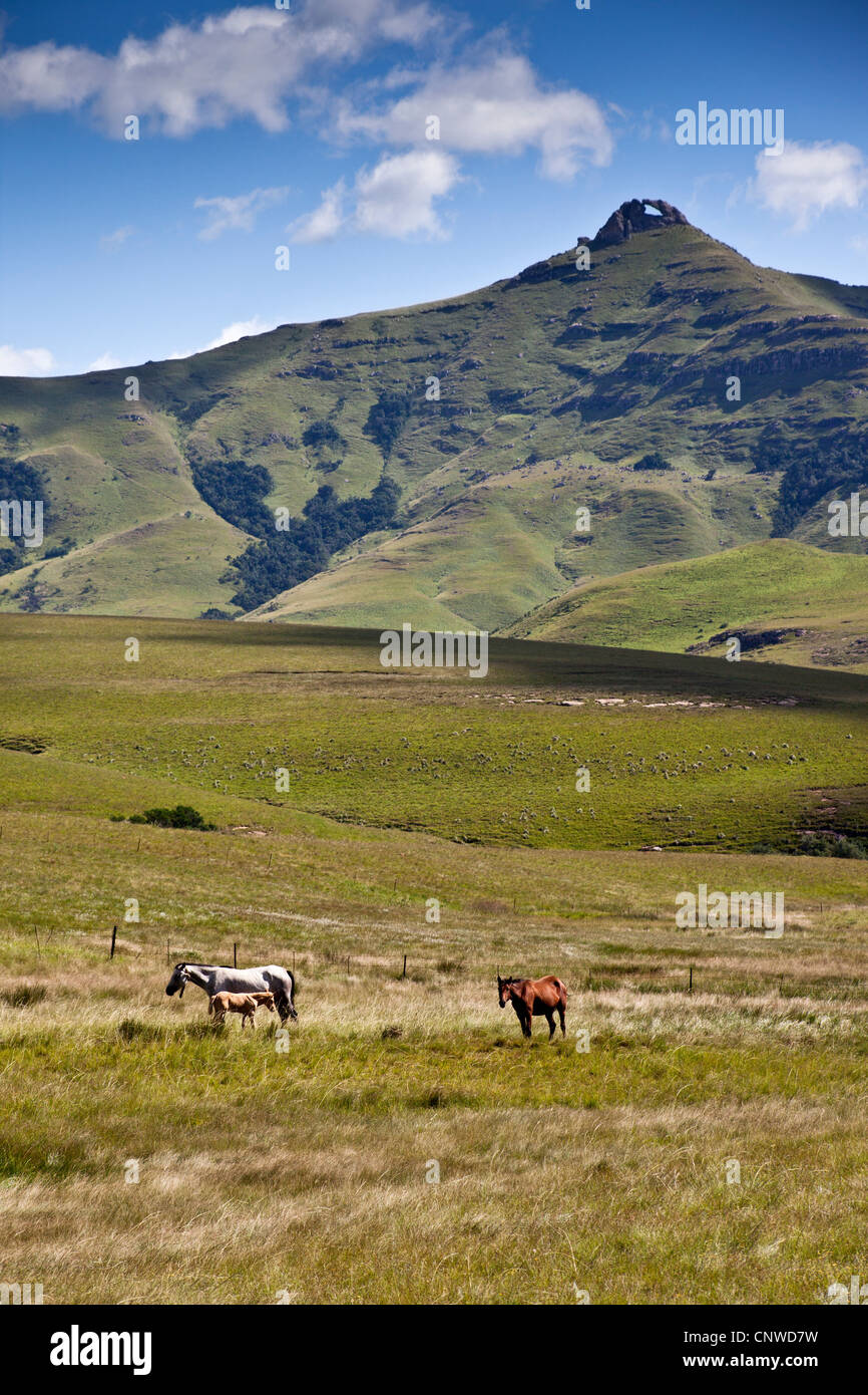 Gatberg (Hole Mountain), Ugie, Eastern Cape, South Africa Stock Photo ...