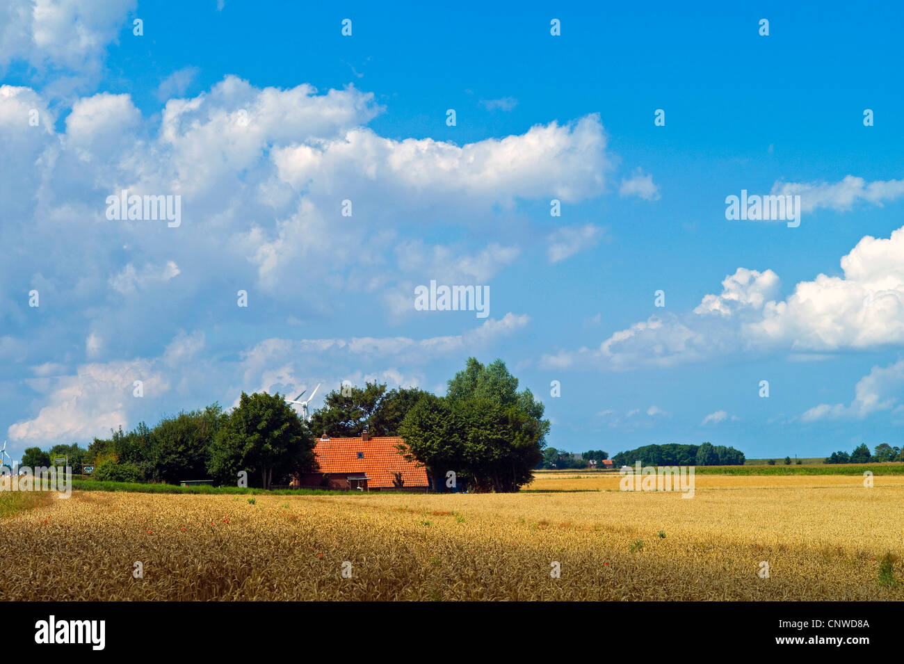 Landscape germany hi-res stock photography and images - Alamy