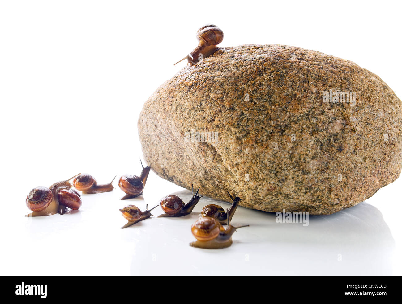 The leader on a stone addresses to crowd .White reflective background ...