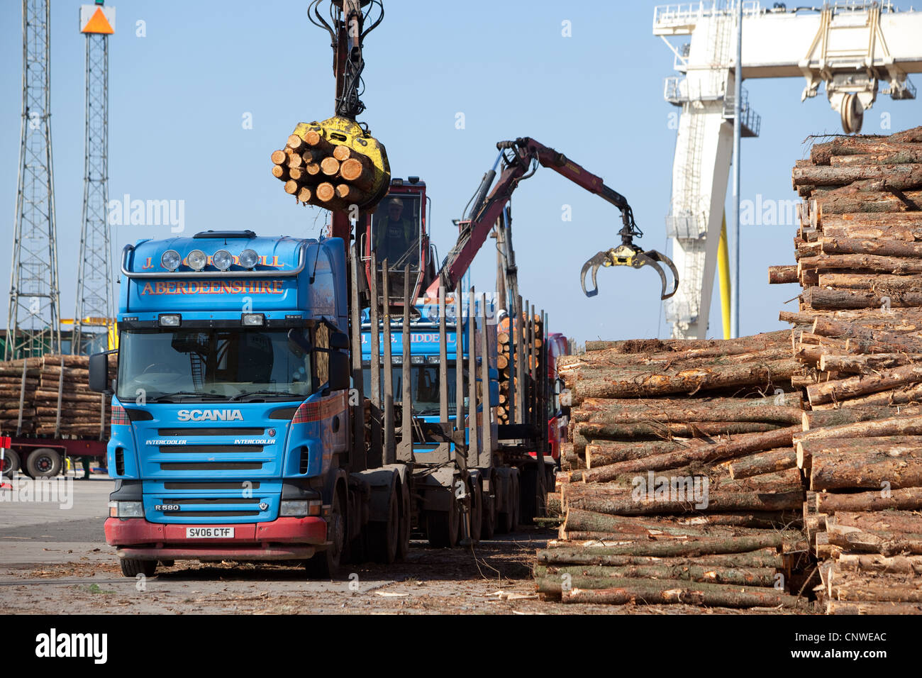 logging industry. road haulage .Loading fresh timber. Dry bulk. onto ...
