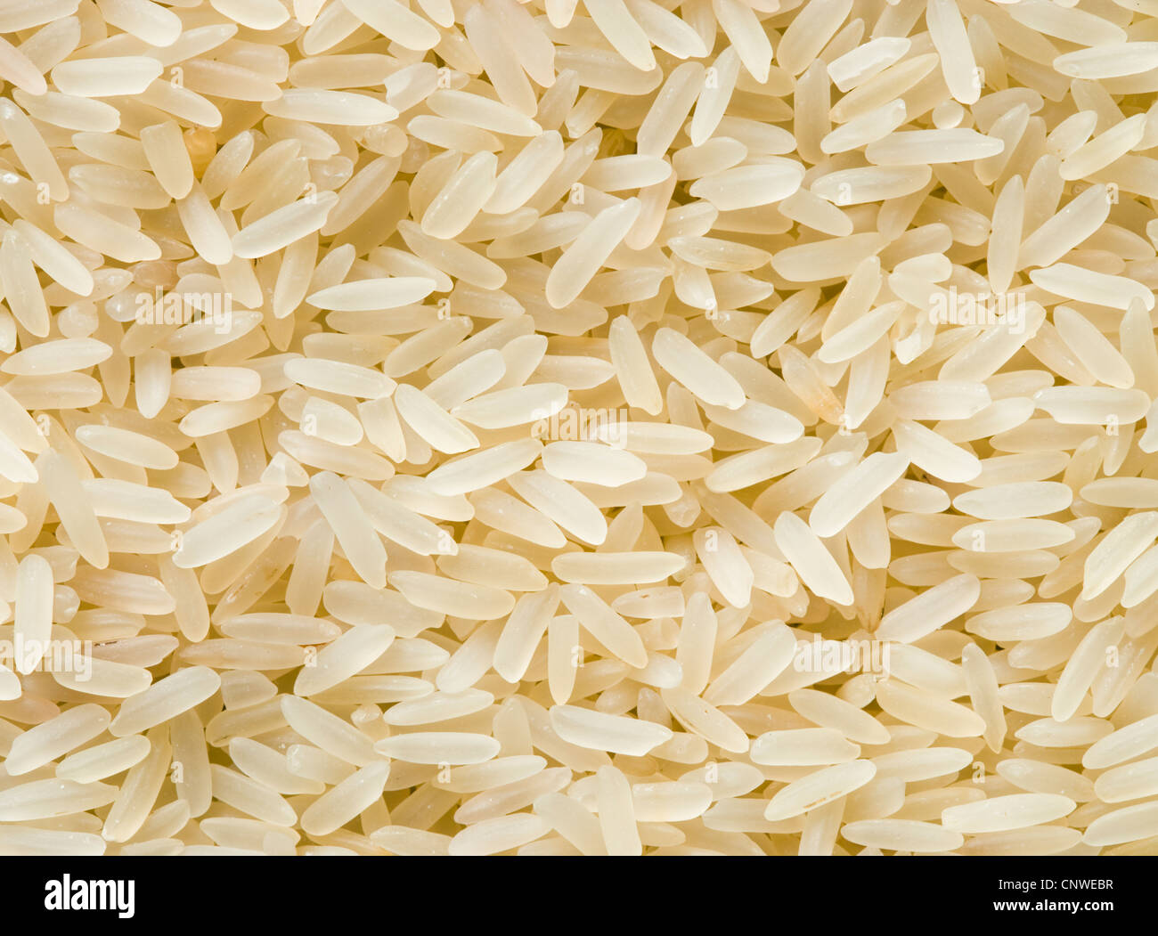Rice grains, close up. Uncooked Stock Photo - Alamy