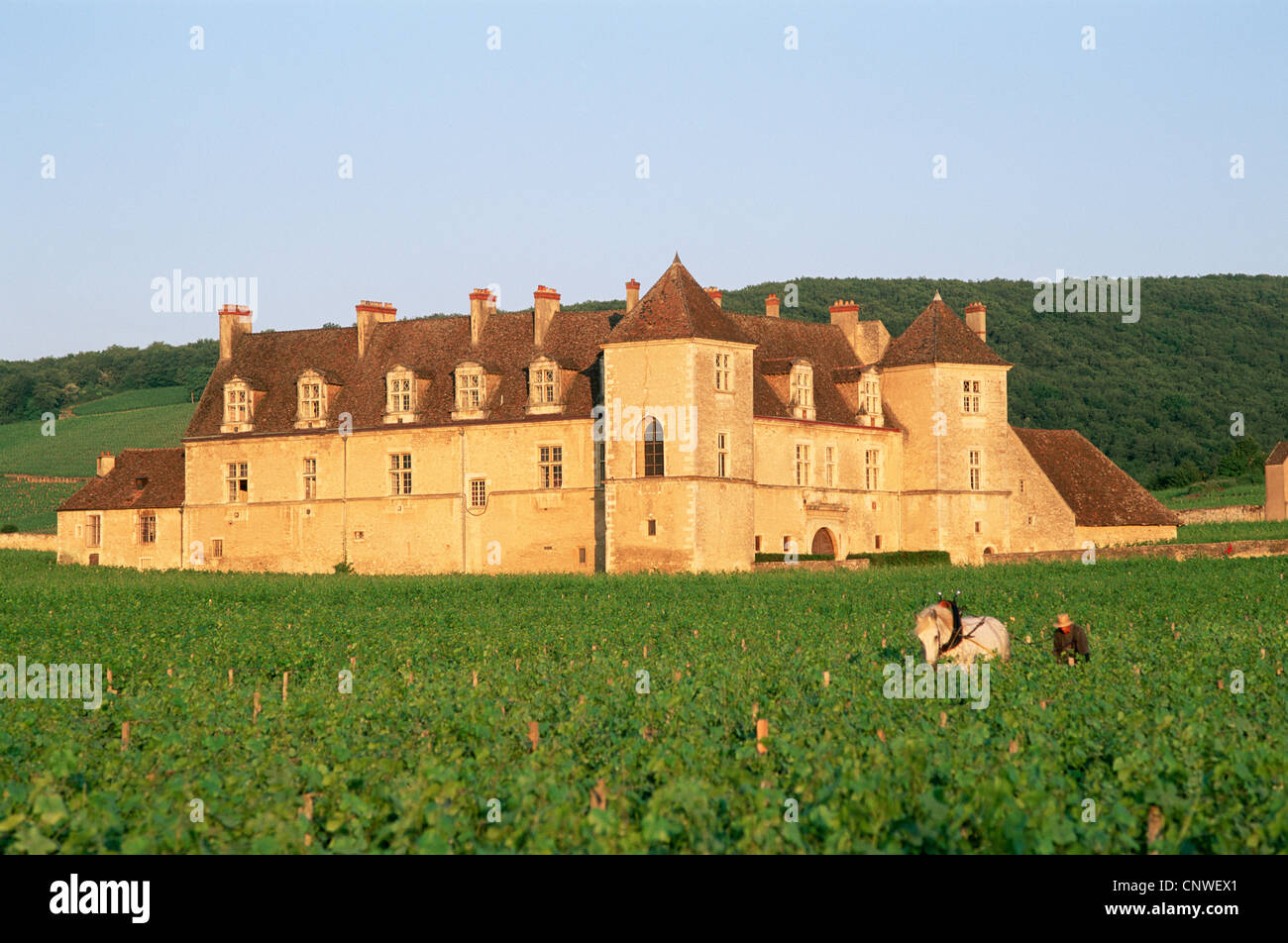 Vougeot castle hi-res stock photography and images - Alamy