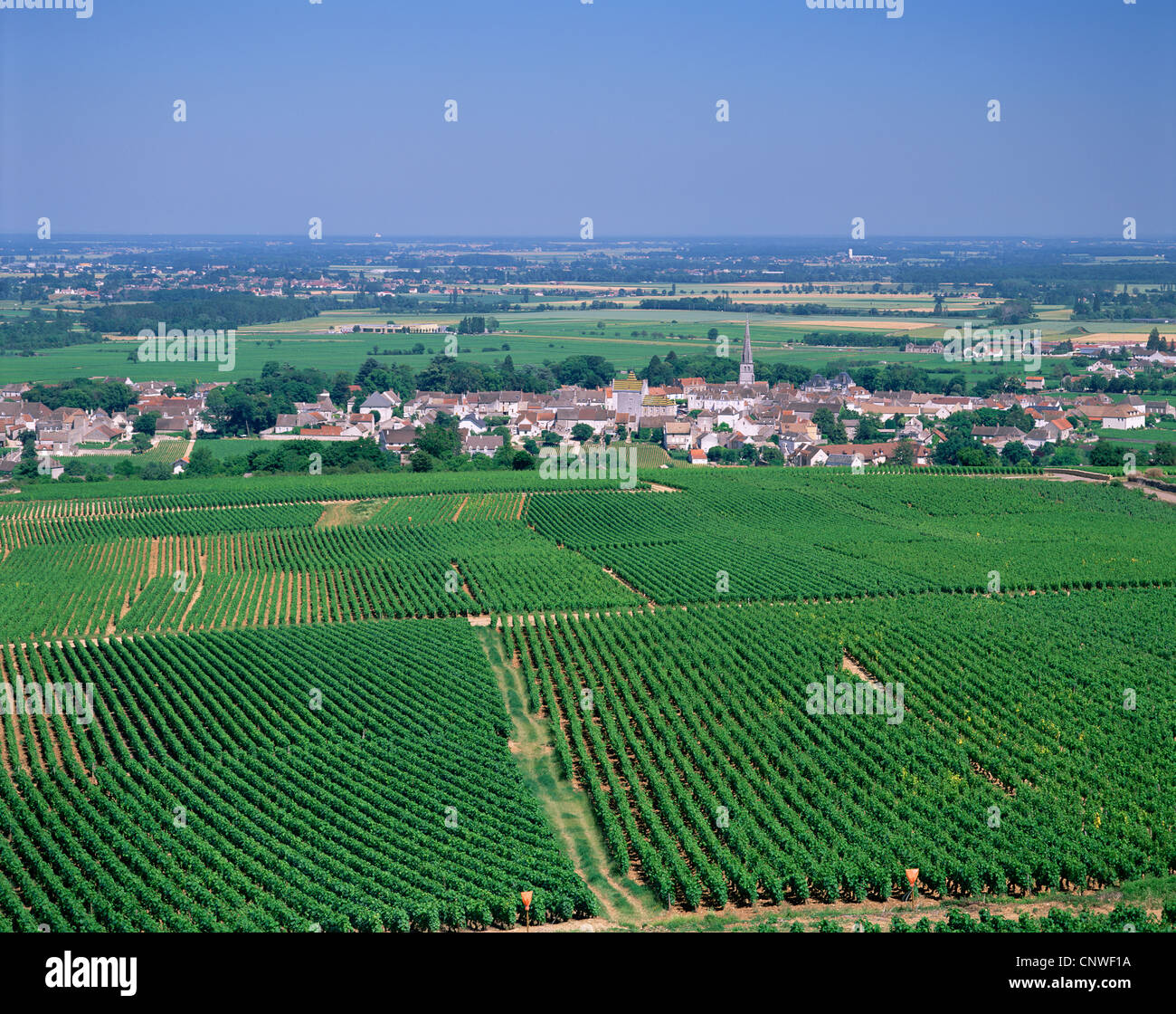 France, Burgundy, Mersault Village and Vineyards Stock Photo - Alamy