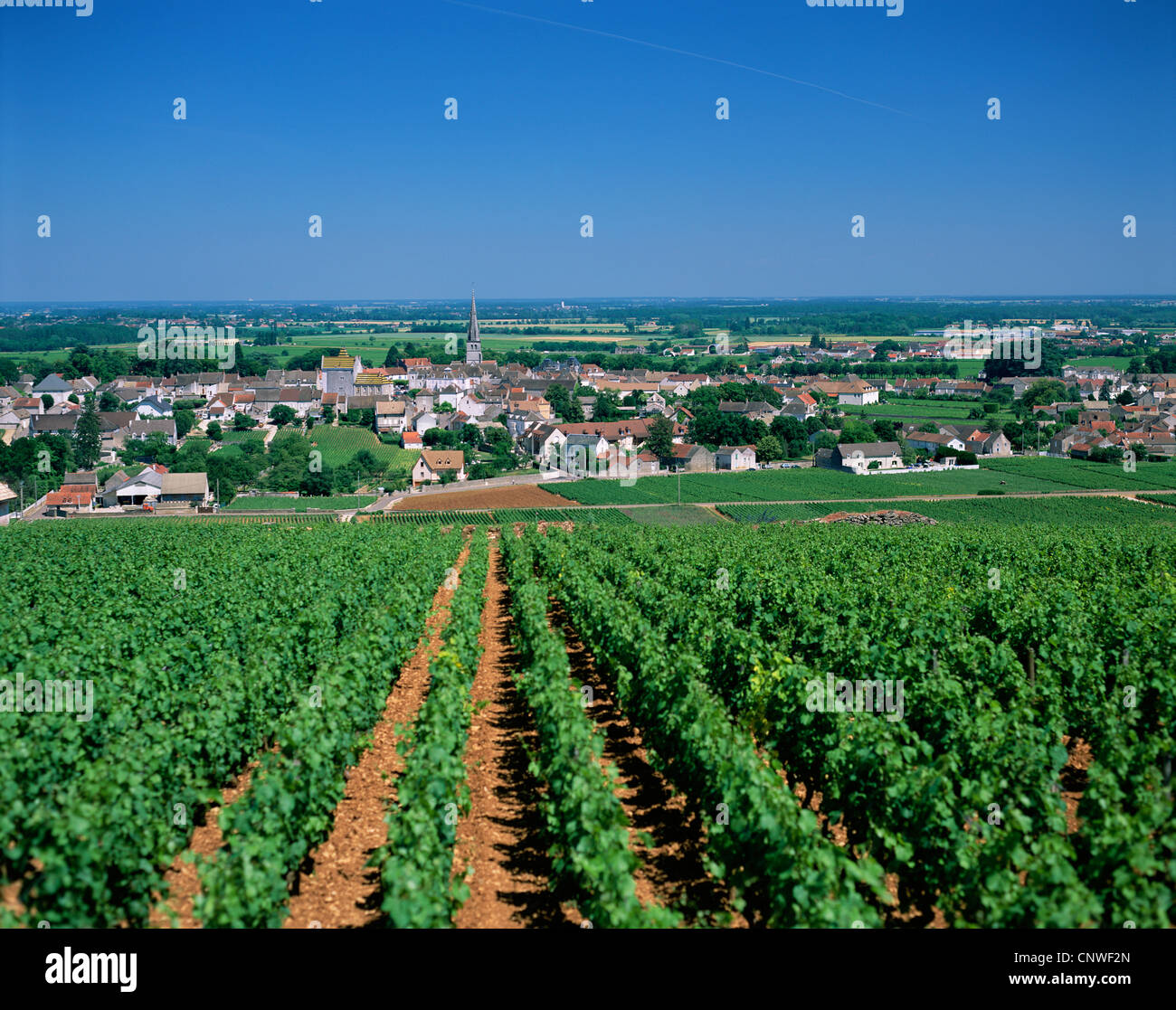 Mersault, france hi-res stock photography and images - Alamy
