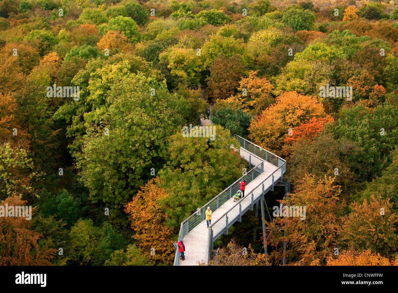 Hainich national park hi-res stock photography and images - Alamy