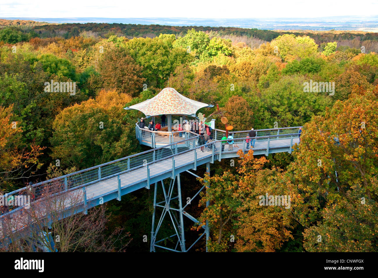 canopy walk way, Germany, Thueringen, Hainich National Park Stock Photo ...