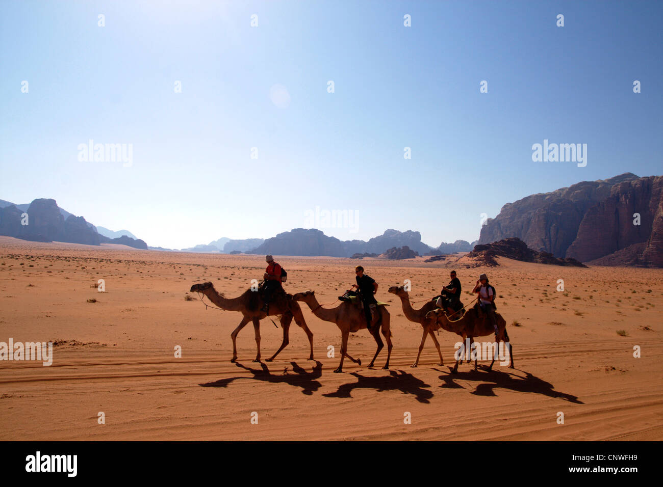 Bactrian camel with rider hi-res stock photography and images - Alamy
