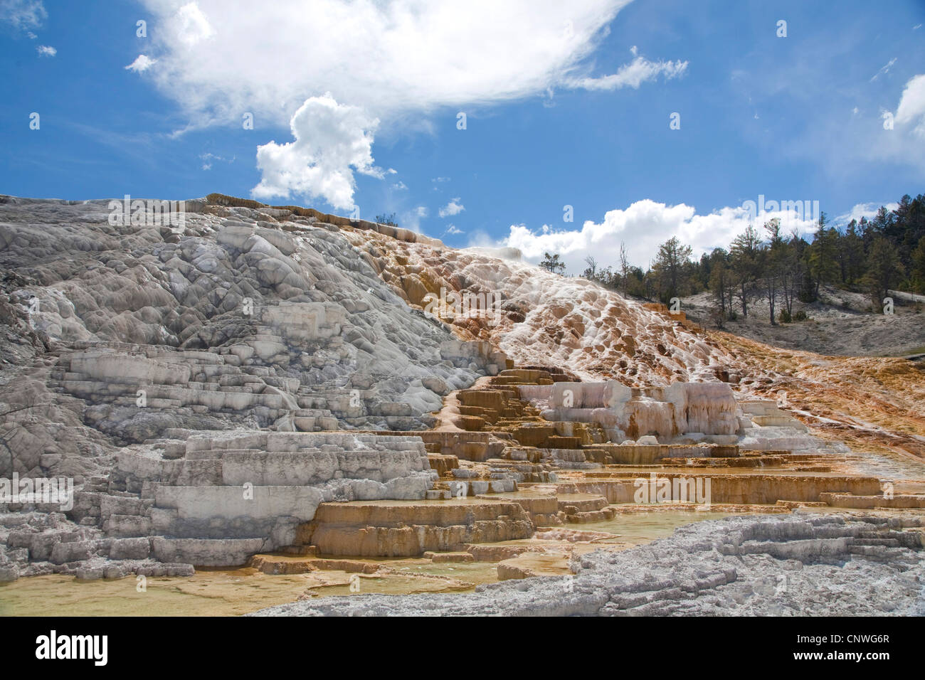 Travertine terraces at mammoth hot springs hi-res stock photography and ...