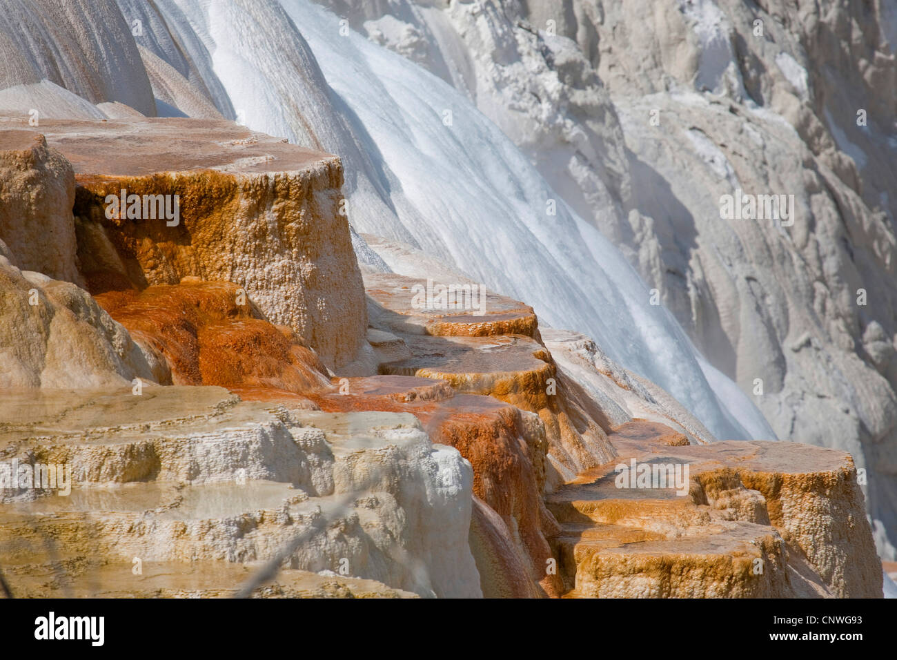 detail of travertine terraces at Mammoth Hot Springs, USA, Wyoming ...