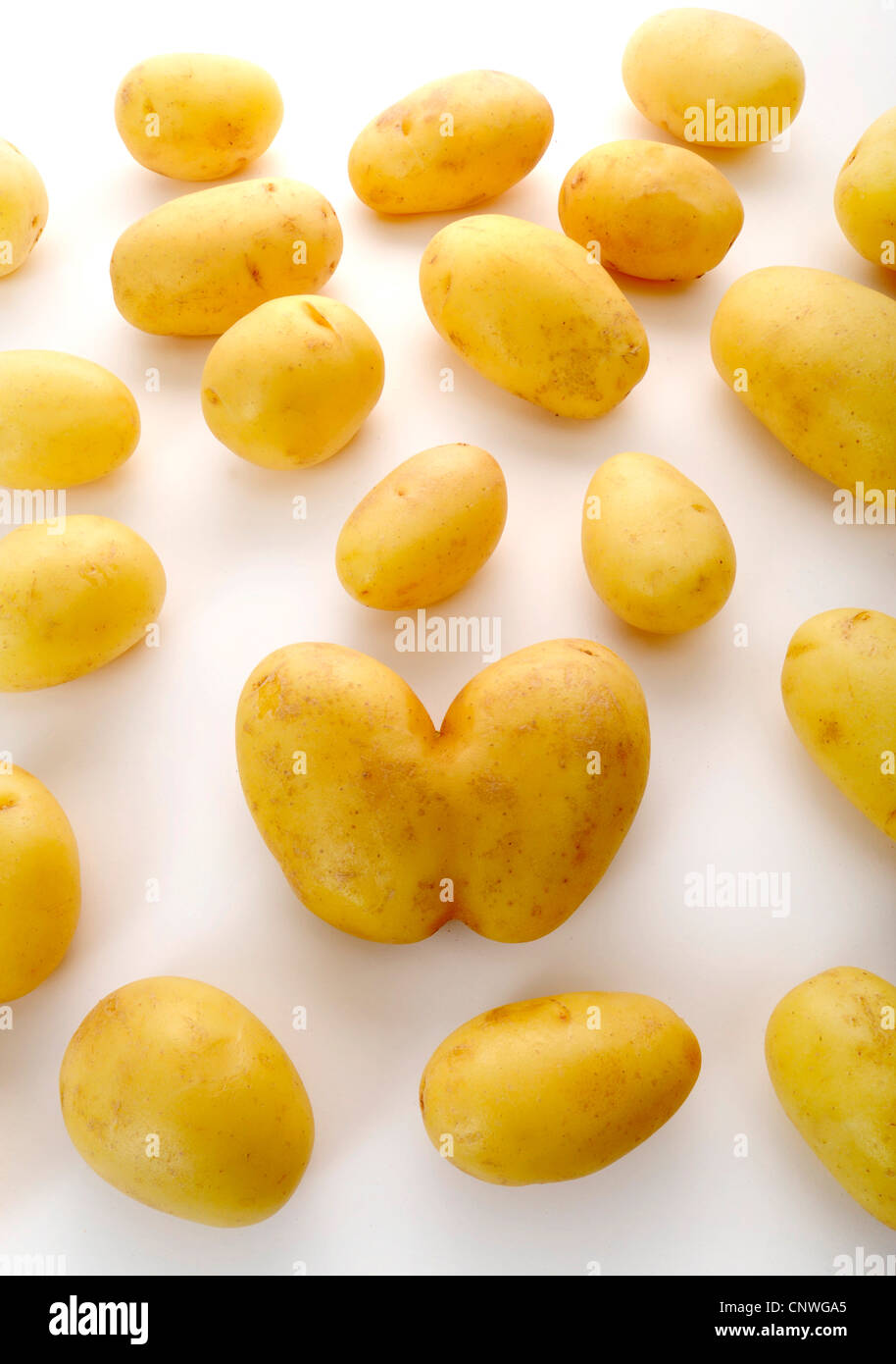 Weird potato hi-res stock photography and images - Alamy