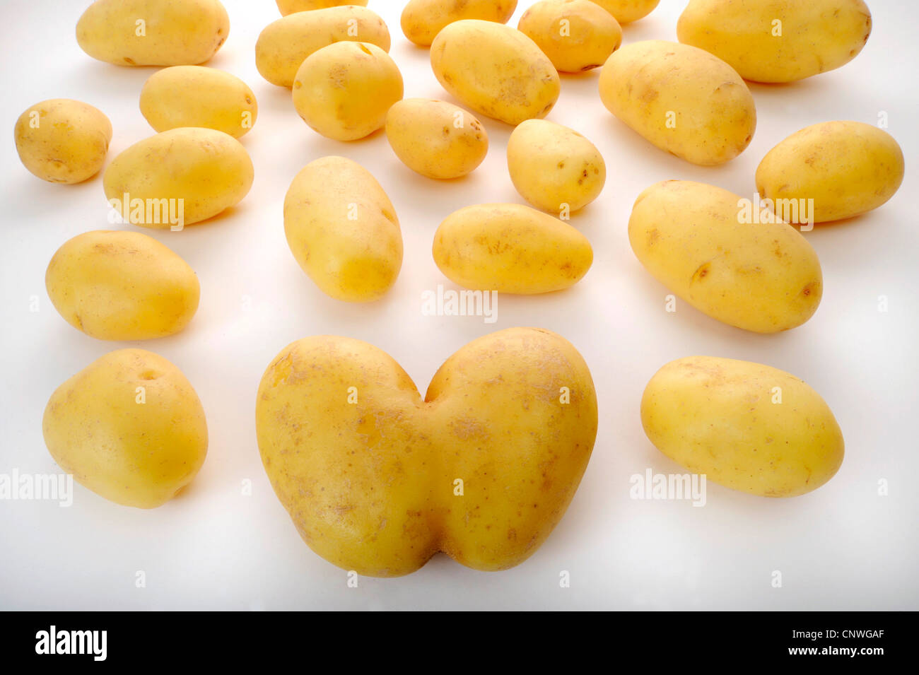 Potato Pictures High Resolution Stock Photography and Images - Alamy