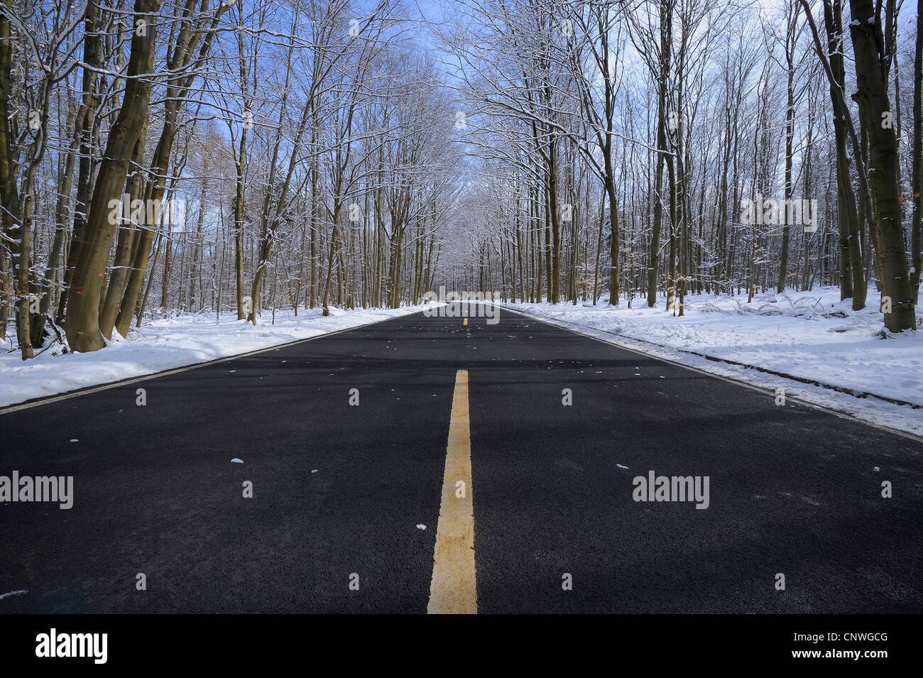 Spessart forest hi-res stock photography and images - Alamy