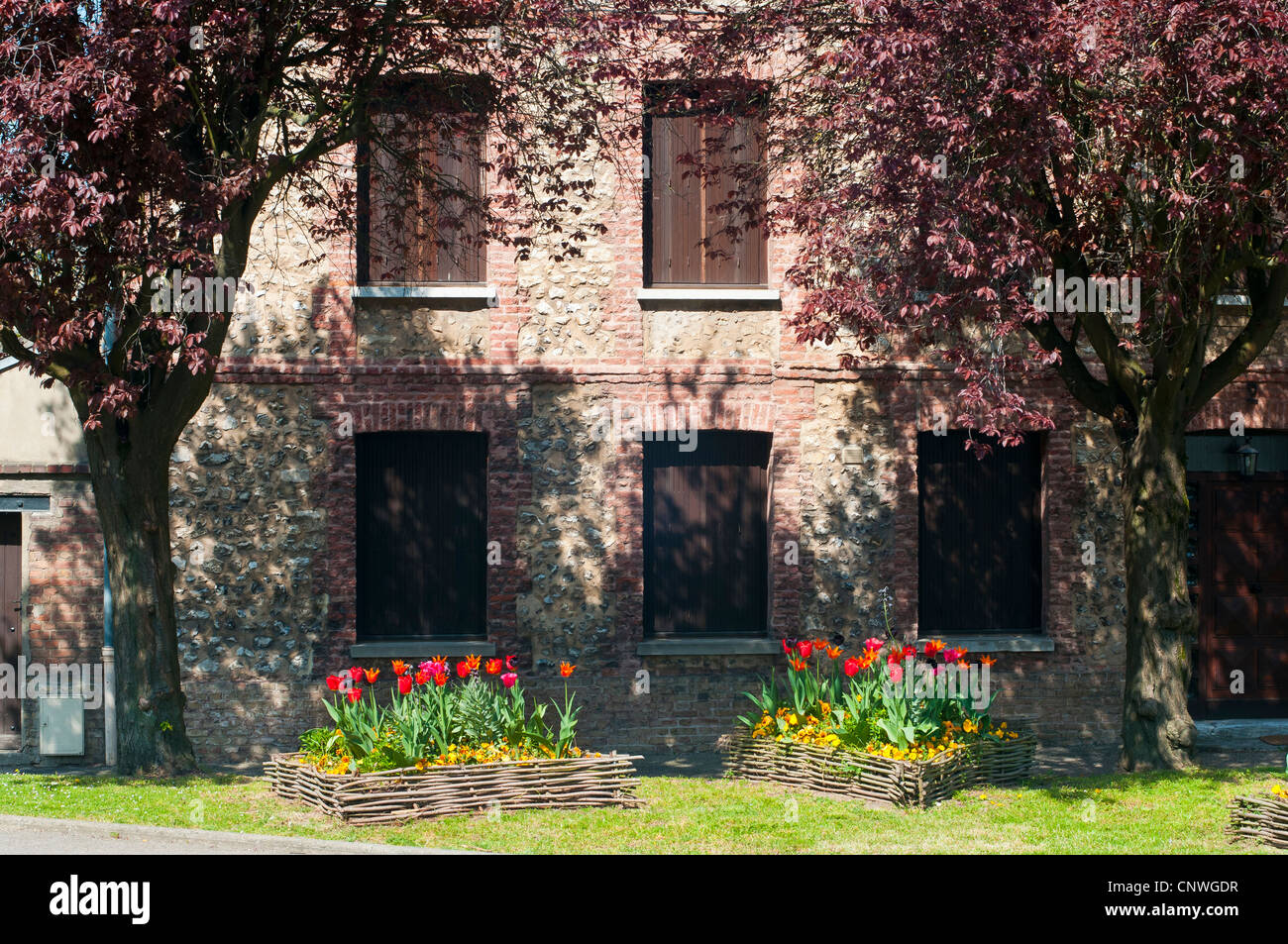 France tulips hi-res stock photography and images - Alamy