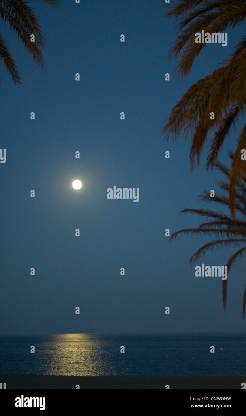 Moonlight beach hi-res stock photography and images - Alamy