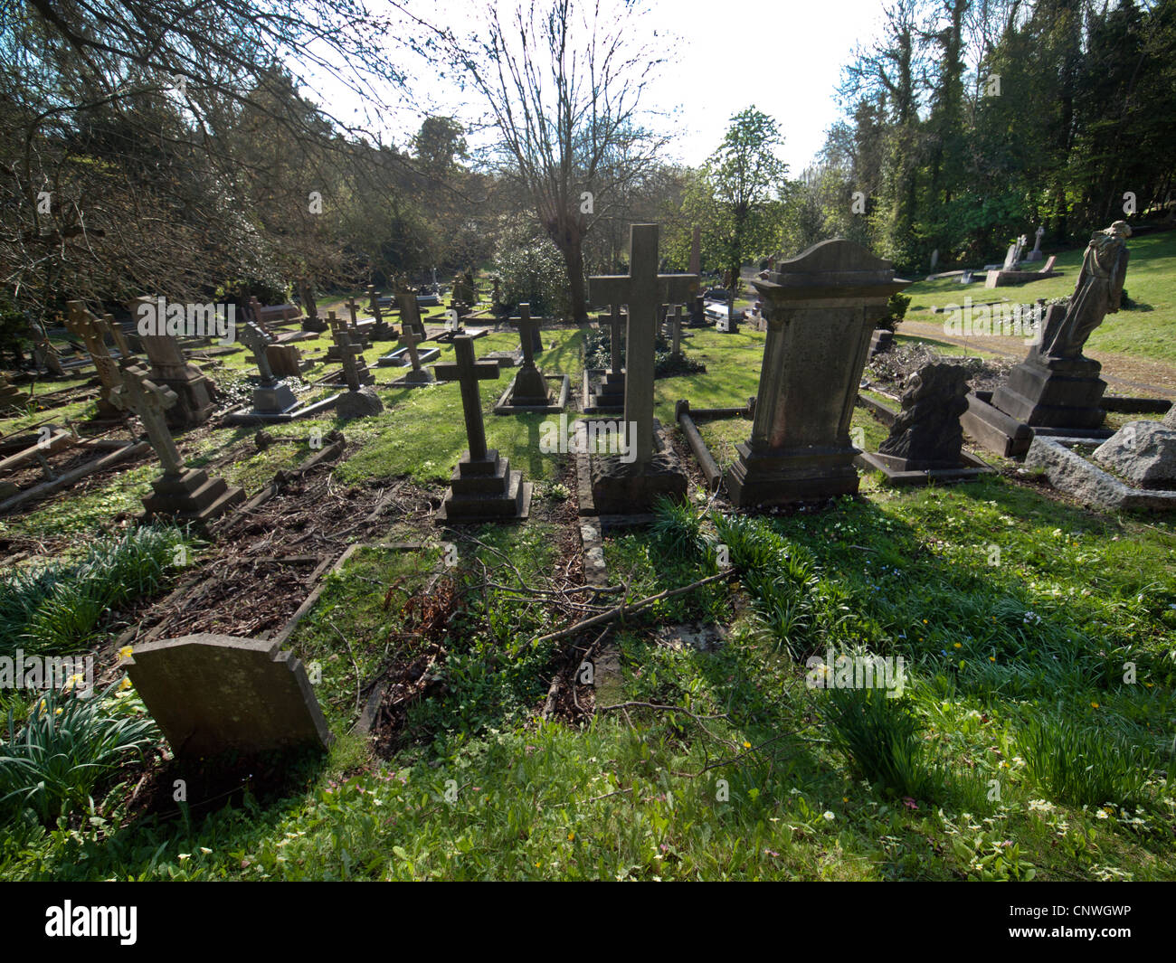 A scene from The Extra-Mural Cemetery off the Lewis Road in Brighton ...