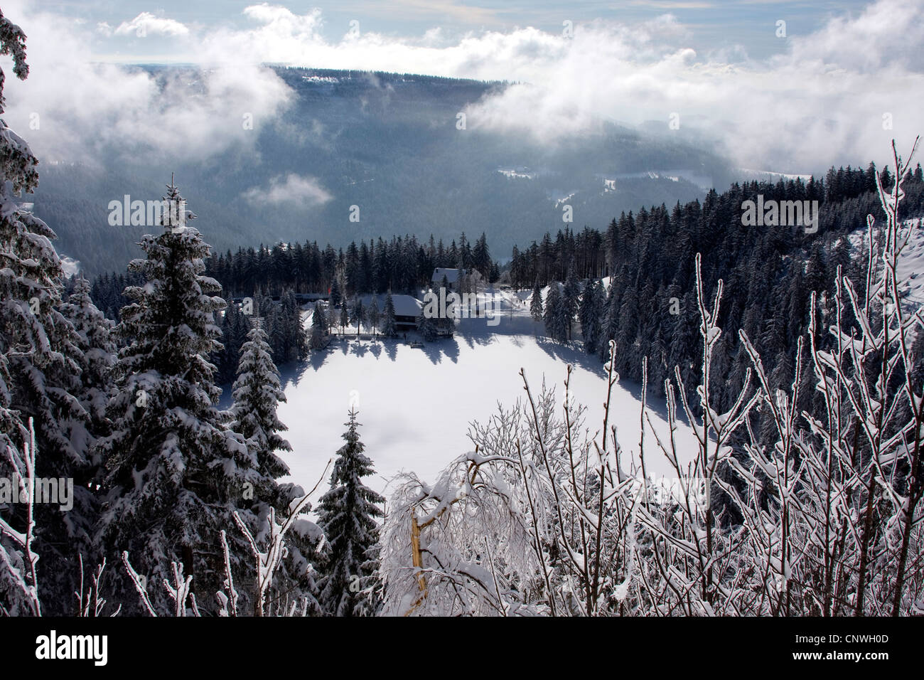 winter landscape with snow-covered Lake Mummel, Mummelsee, Germany ...