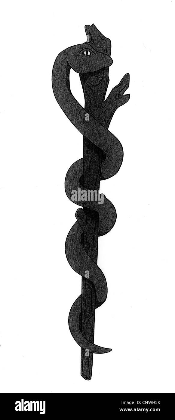 Rod Of Asclepius Medical Symbol Caduceus And The Rod Of Asclepius